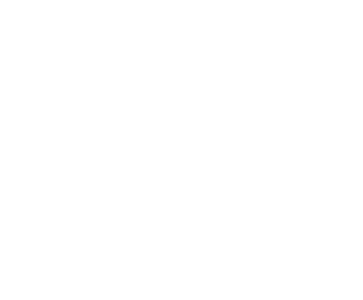 Zod | Zod中文文档 | Zod中文网